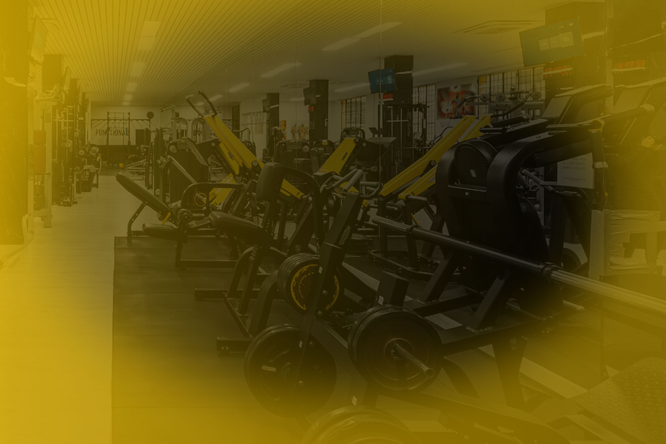 Home - Palestra Performance